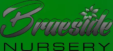 Braeside Nursery - garden centre stocking plants,fertilizers ...